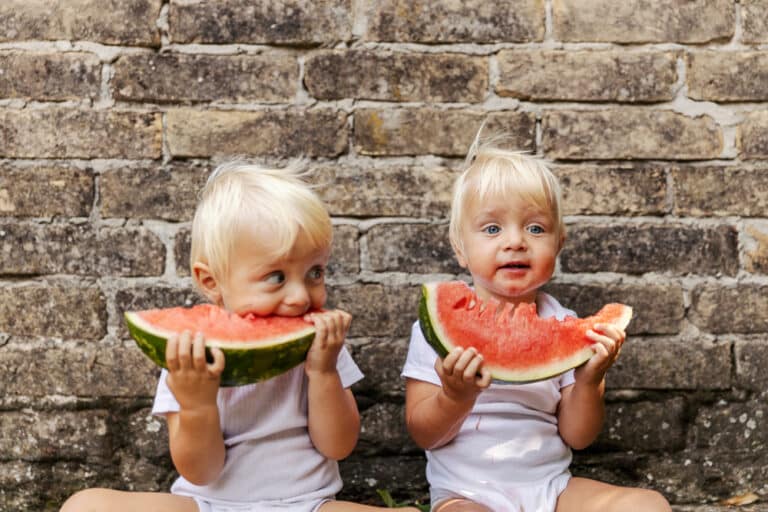 The Mystery of Mono Mono Twins: A Fascinating Journey Into Rare ...